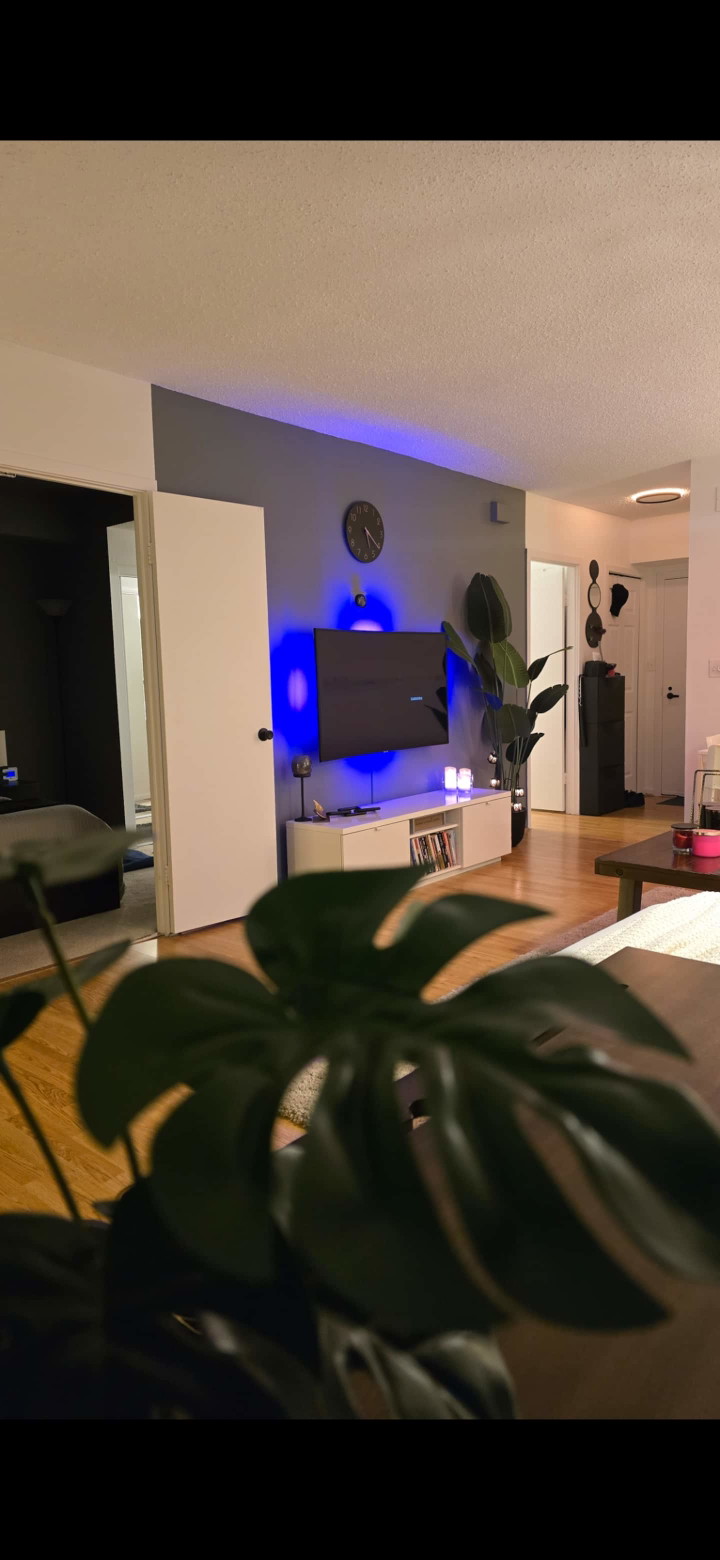 Apartment Near Washington Dc - Alexandria, VA