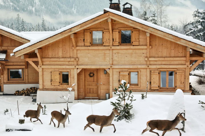 Magnifique Chalet Arolles. Vues Sublimes & Sauna. - Chamonix-Mont-Blanc