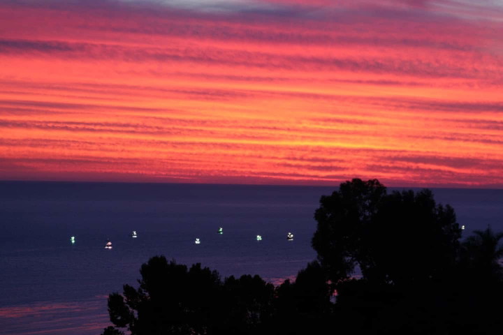 Magnificent Ocean View At Malibu 1 Bedroom Getaway - Malibu, CA