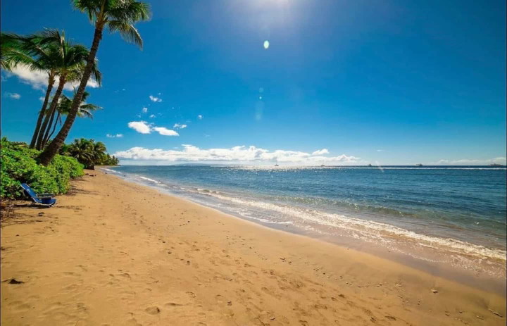 Steps To The Beach- Mountain Views- Lahaina Studio - Lahaina, HI