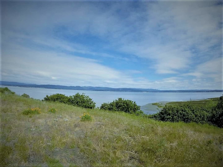 Bayfront Getaway ~ Incredible View ~ Pet Friendly - 尤里卡