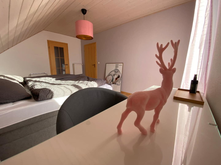 Hirsch In Pink - Wohnen Wie Zuhause - Buchloe