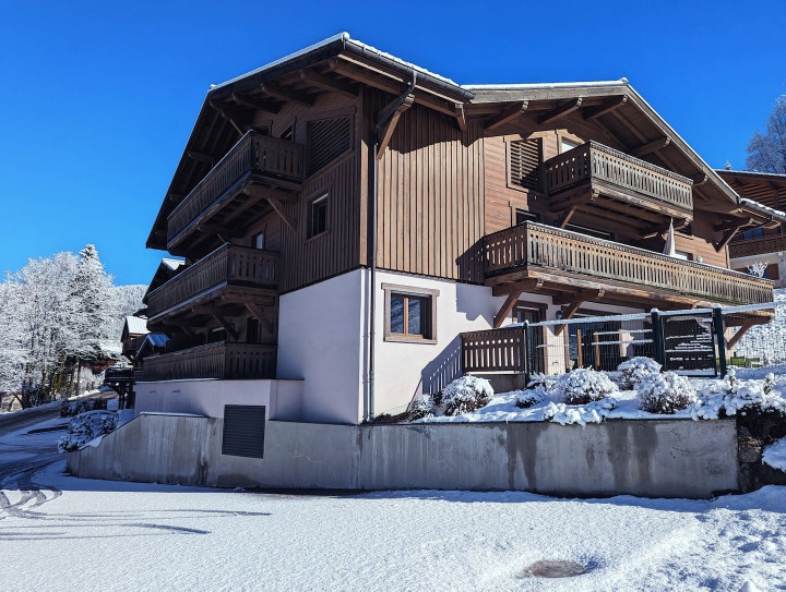 Cosy Ski Luxury Apt 5min La Clusaz & Grand Bornand - La Clusaz