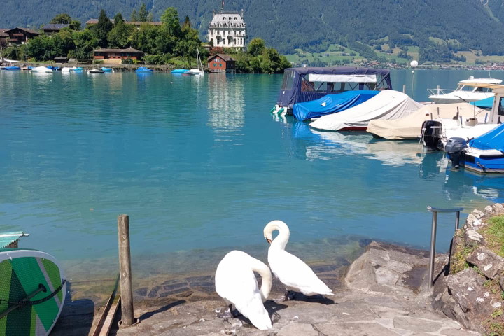 Apartment Mit Seesicht, Sauna
Und E-ladestation - Interlaken