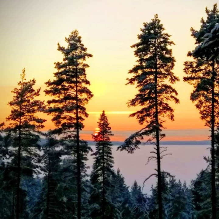 Kontioniemi, Unspoilt Unique Natural Environment - Joensuu