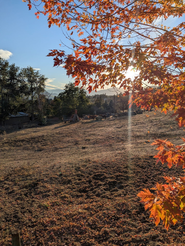 Bella Vista Sunset Retreat - Vernon, BC, Canada