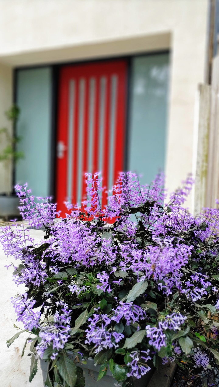 Self Contained Pet Friendly Guesthouse "The Perch" - Brisbane