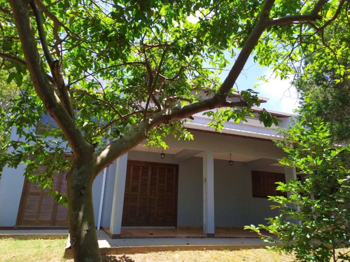 Ferme De Pitangueiras - Florianópolis