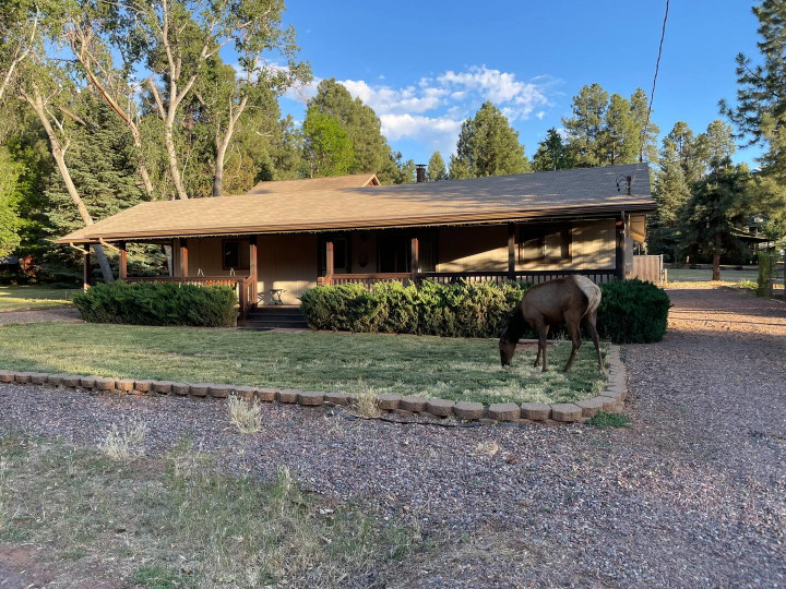 House In The Pines In Strawberry - Arizona