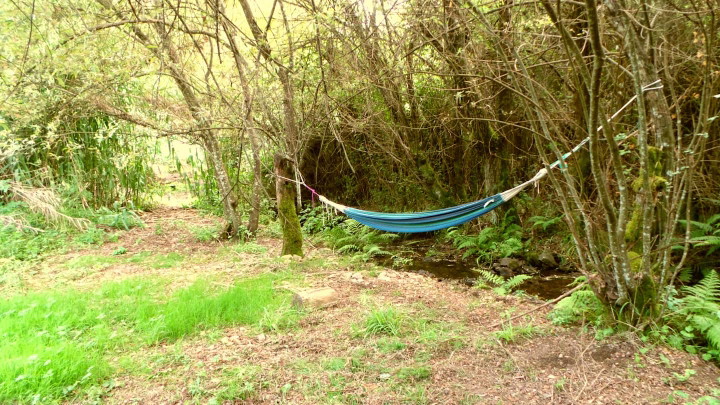 Camping With Your Own Tent On Rural Campsite - Portugal