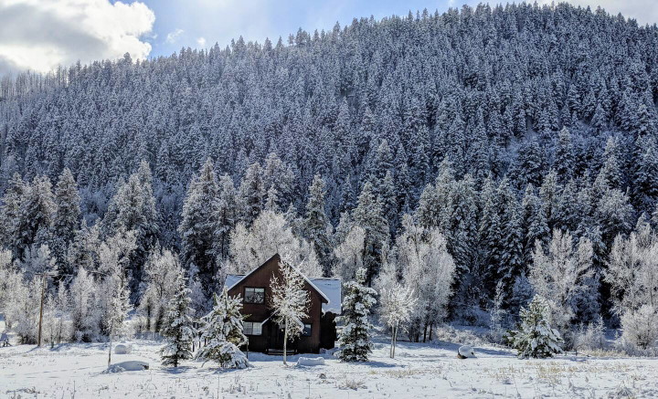 Design Cabin In The Forest Near Historic Downtown - Durango