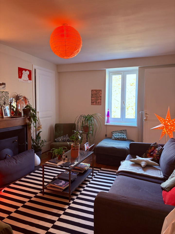 Appartement Dartiste / Cocon Lyonnais - Lyon