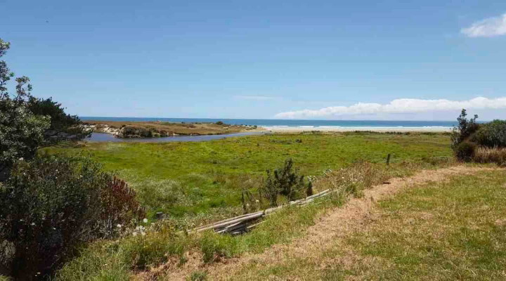 Far North Beach Escape - Ahipara