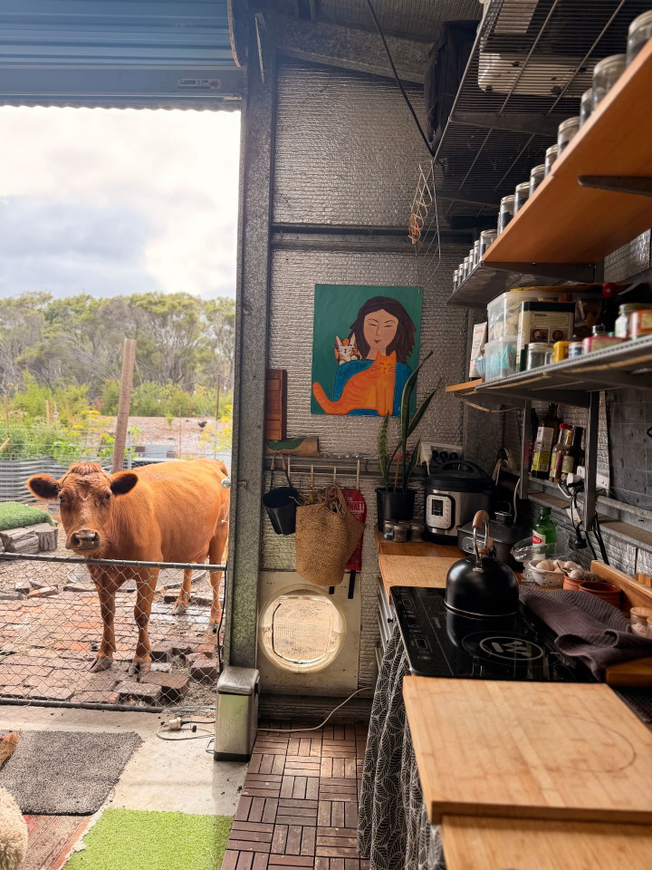 Blue Barn Nornalup Off-grid Animal Sanctuary Kbed - Walpole