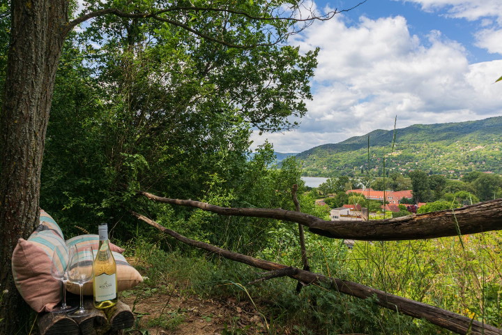 Rustic Panorama Guesthouse For 6 In Visegrad - Nagymaros