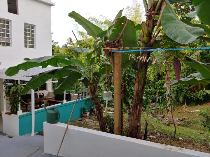 Tranquilidad Total Patio / Casa De Latorre - Puerto Rico