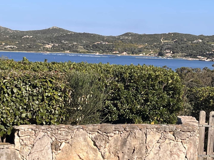 House With Garden - Bonifacio