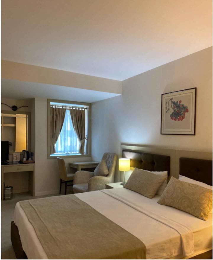 Palm Inn Hotel - イズミル