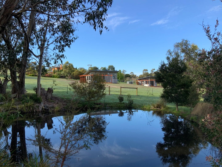 Tinderbox Peninsula Estate - Frogsong - Hobart