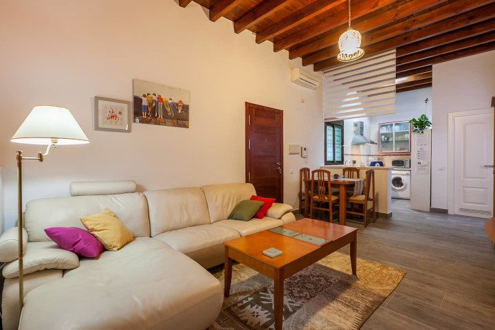 Spacious Ac Duplex · Walk To Seville Centree - Siviglia