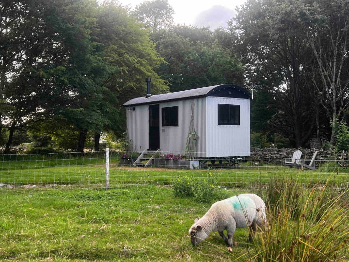 A Cosy Shepherd's Hut In South Downs National Park - Midhurst
