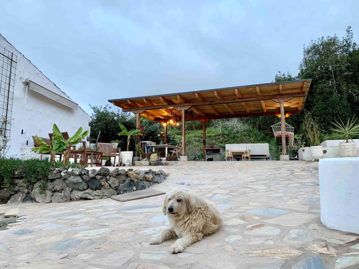 {Private Guest House On Organic Finca - Pure Relaxation} - Garachico