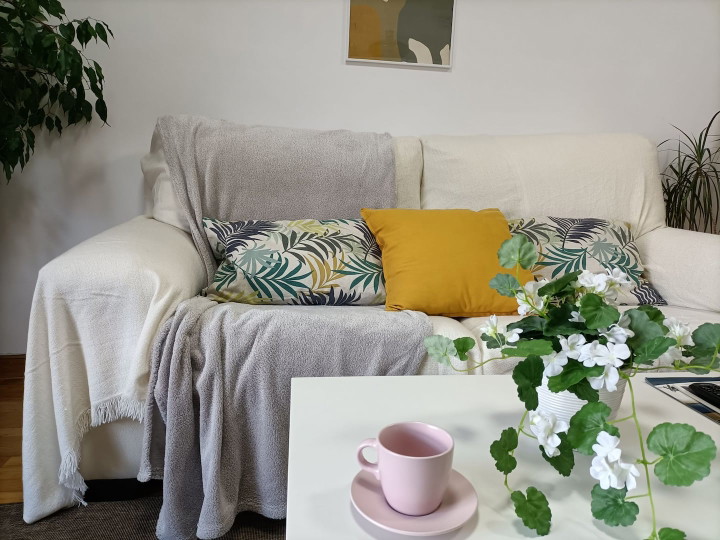 Lovely Apartment With Impeccable Cleanliness - Oviedo