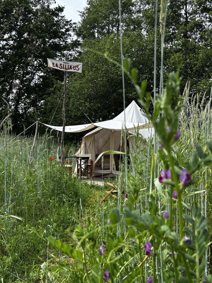 Veldtent 'Basilikus' - Aarschot