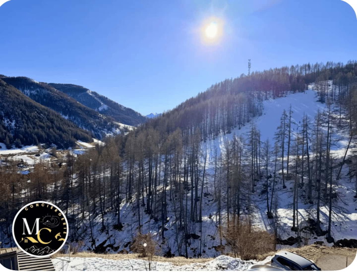 La Foux, T2 Vue Panoramique Sur Pistes, Ps301 - La Foux d'Allos