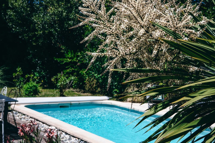La Villa Des Lauriers Avec Sa Piscine - Charente