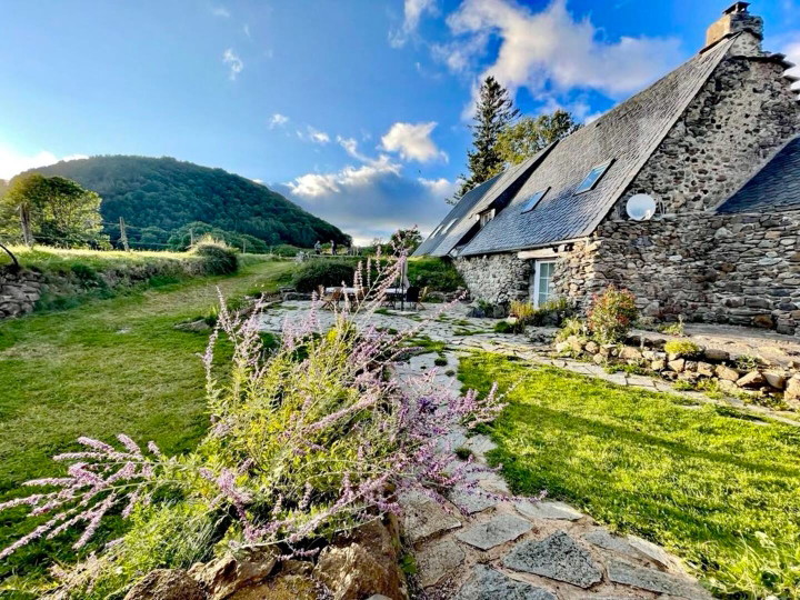 Magnifique Et Paisible Maison En Pierre - Besse-et-Saint-Anastaise