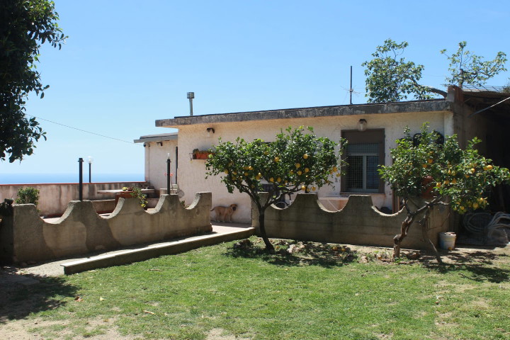 Sosta Sotto Il Ficus - Messina