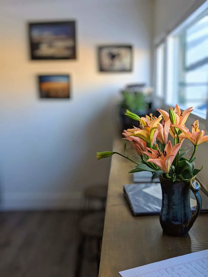 Cozy Bison Bungalow - 3 Blocks To Downtown! - Cody, WY