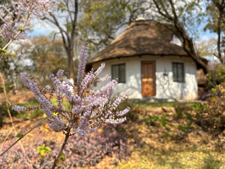 Charming Bush Cottage - Zimbabwe