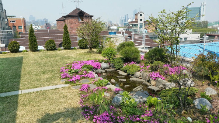 A Studio Gangnam/the K Hotel/yangjae  Forest St/15 - Seoul