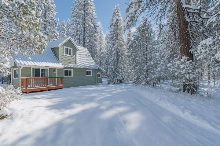 The Sparrows Nest ~ Cozy Charm + Fire Pit Fun - Shaver Lake, CA