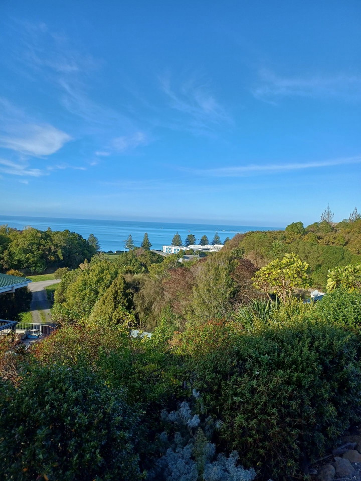 Bayview On Whitby. - Kaikōura