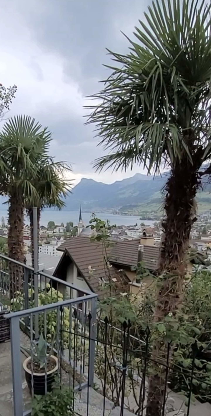 Lake View Studio - Ennetbürgen