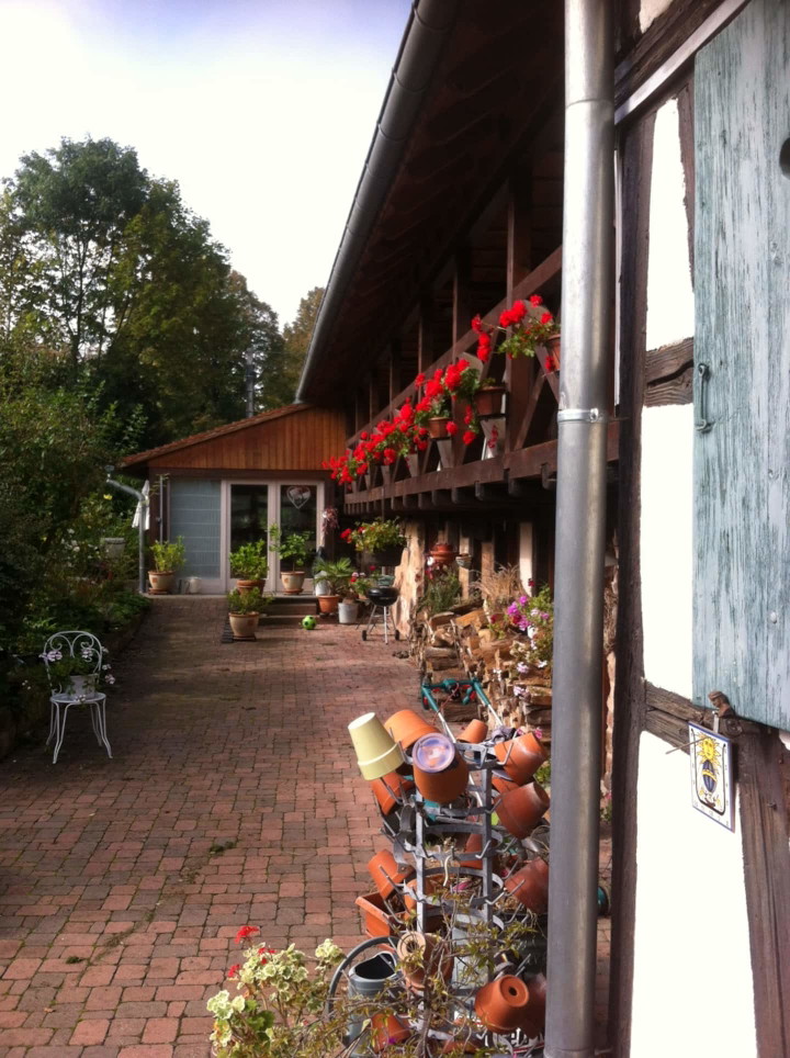 Sophie's Cottage - Strasbourg