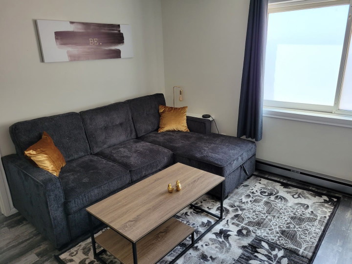 Downtown Sault Ontario 2 Bedroom Private Apartment - Sault Ste. Marie