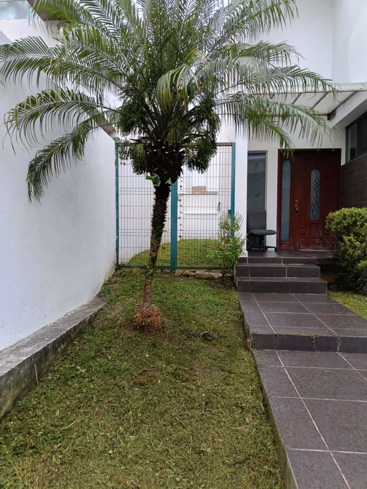 Córdoba Casa De La Palmera - Córdoba, Mexico