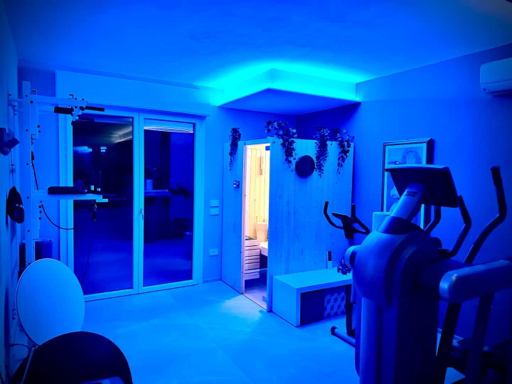Olivia Apartment  Relaxation, Sauna & Gym - Forli