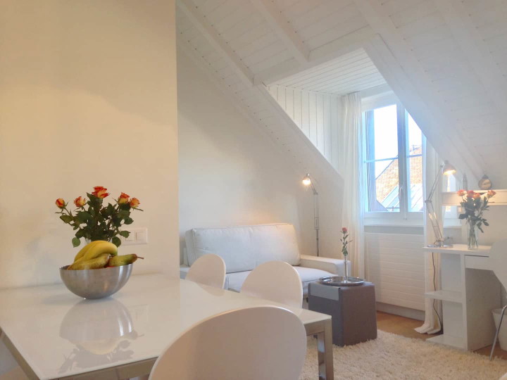 Rooftop Apartment - Genebra