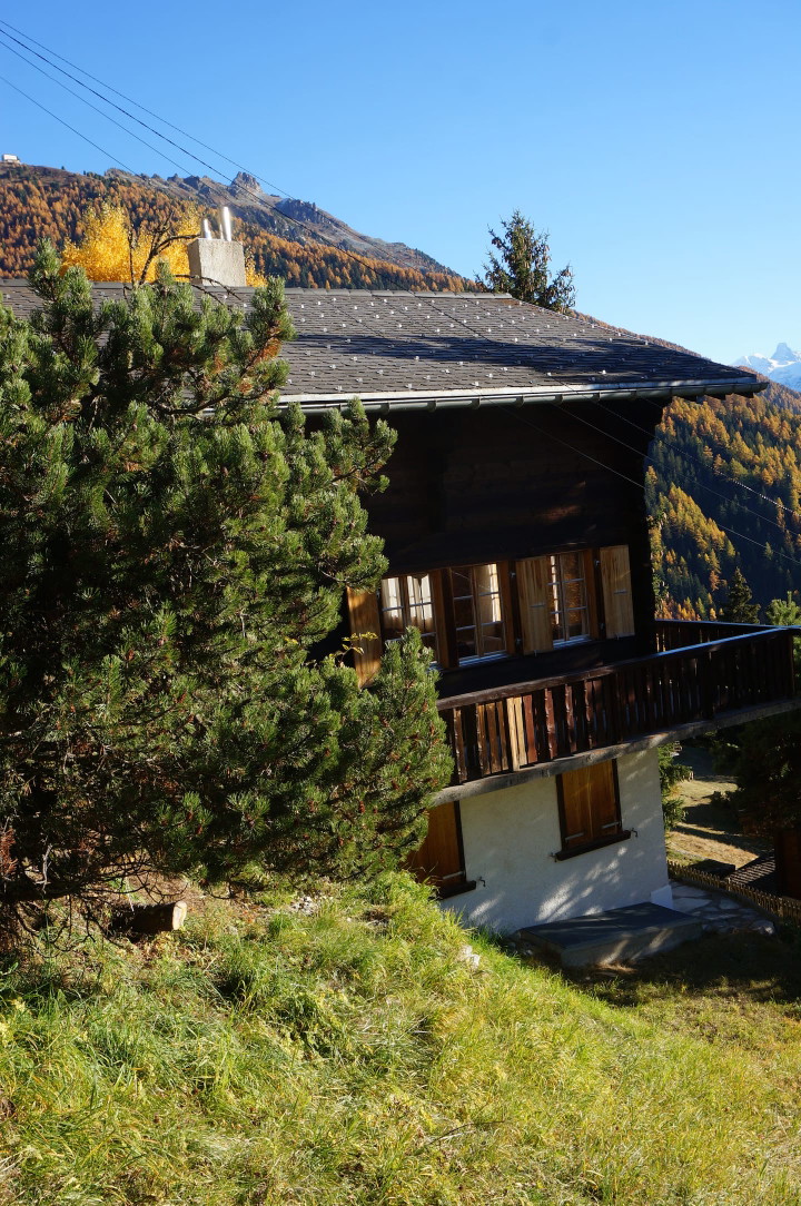 Joli Appartement Dans Chalet - Zinal