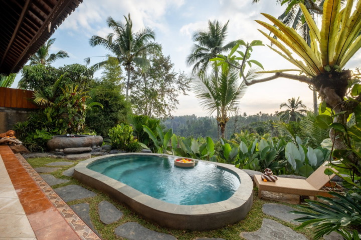 Kanwa Villa -Jungle View Private Pool Villa - Bali