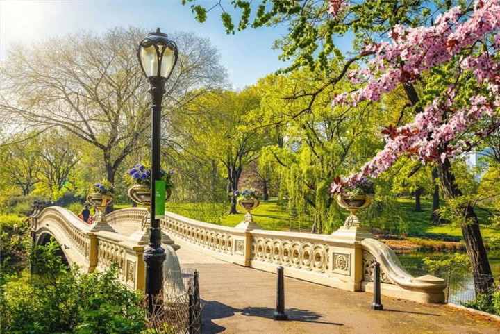 Amazing Brownstone Apartment Just Off Central Park - Manhattan