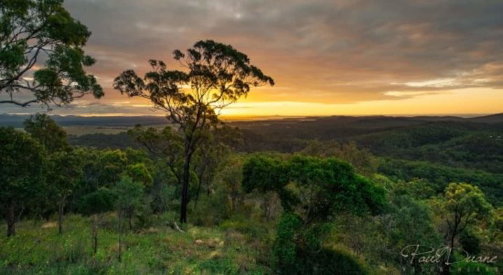 Seaview Mountain - Turkey Beach - Cabin 1 - Queensland