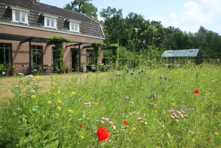 Manor In The Country Near Amsterdam And Utrecht - Doorn
