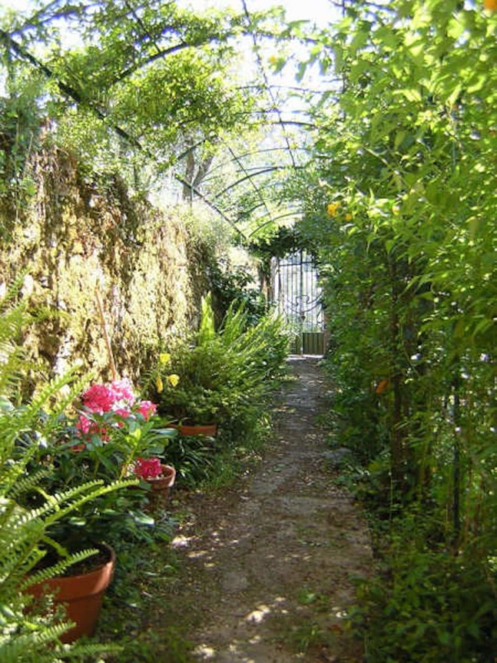 Magical Villa Rosa In Camogli, Garden And Parking - Camogli
