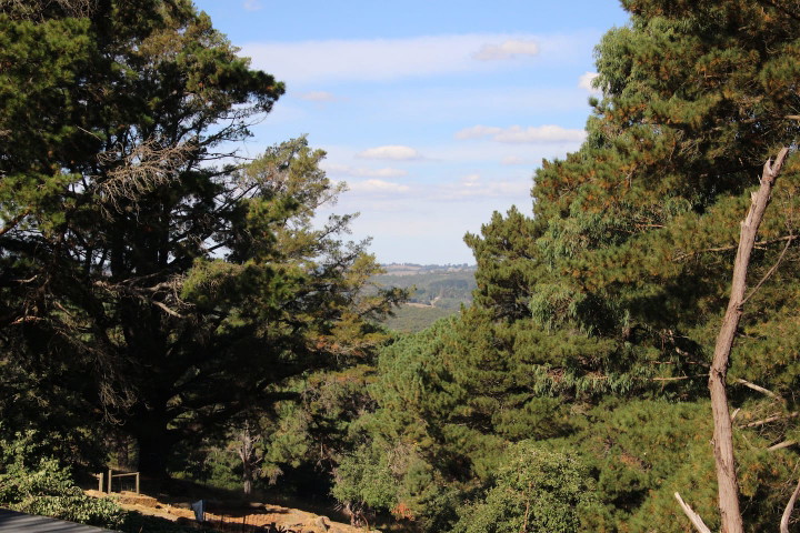 Escape & Relax At Longwood Retreat - Stirling